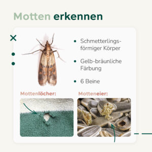 Motten bekämpfen - Anti-Motten Spray online kaufen - DFNT