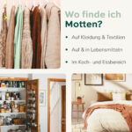 Motten bekämpfen - Anti-Motten Spray online kaufen - DFNT